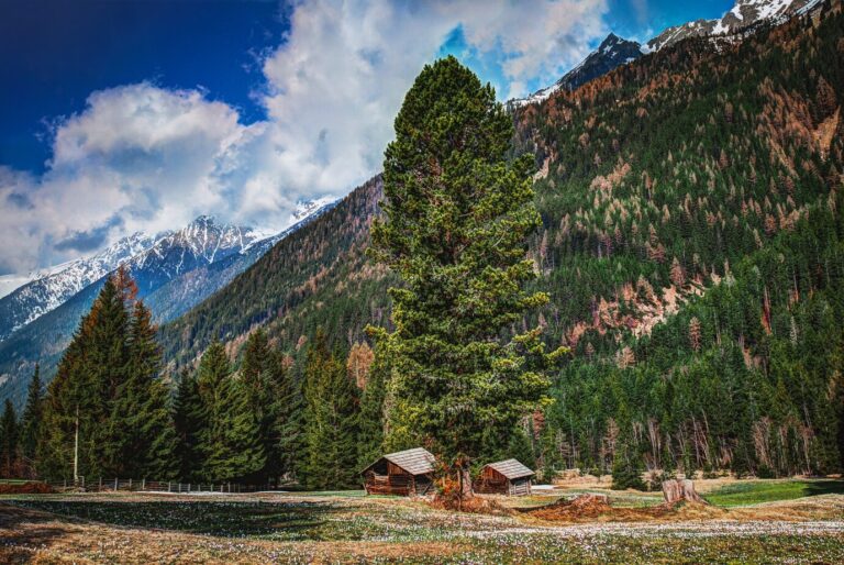 Pahalgam Places to Visit | Sightseeing in Pahalgam | Things to Do in ...